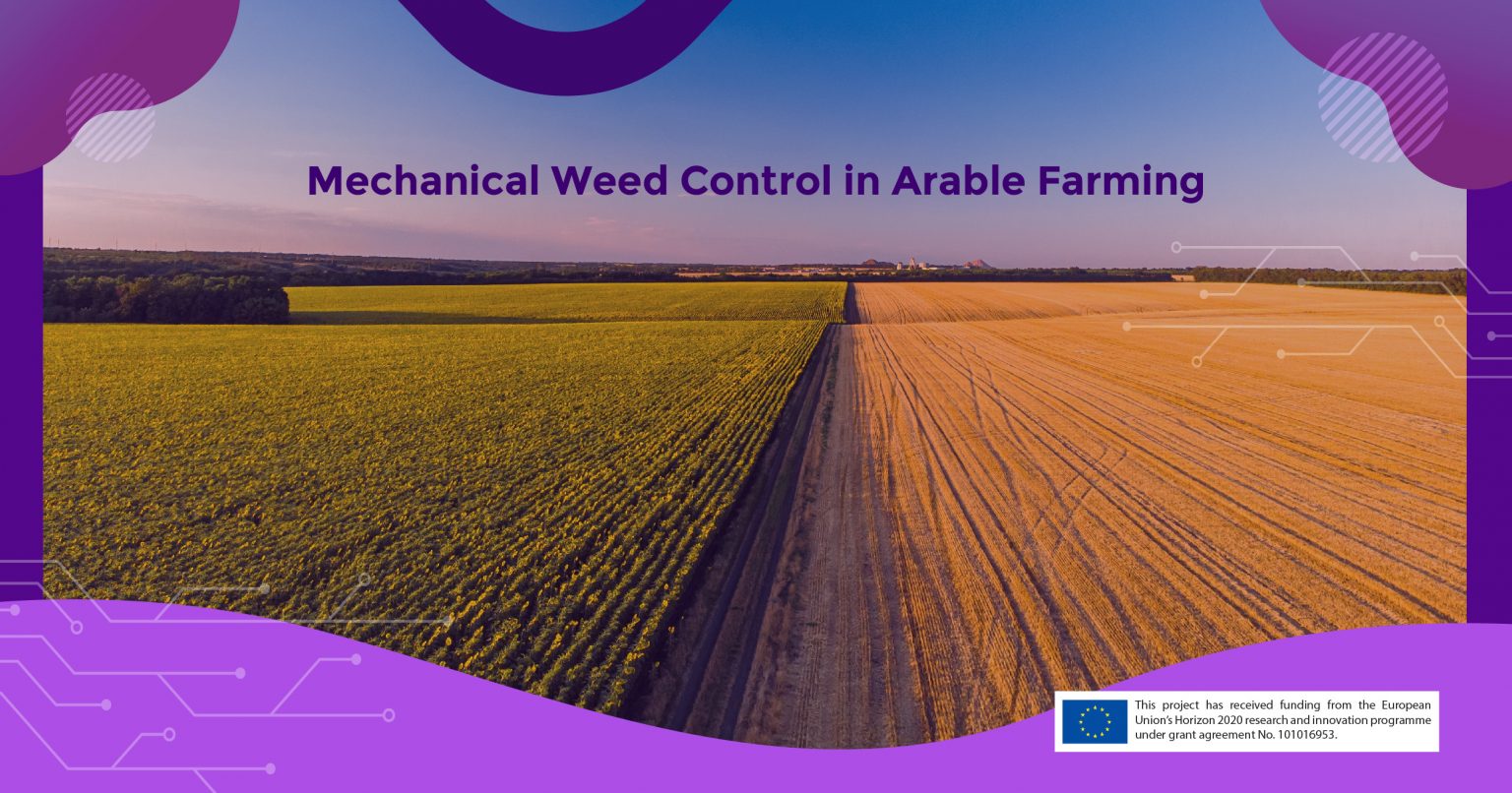 Arable Crops: Maximizing Mechanical Weed Control